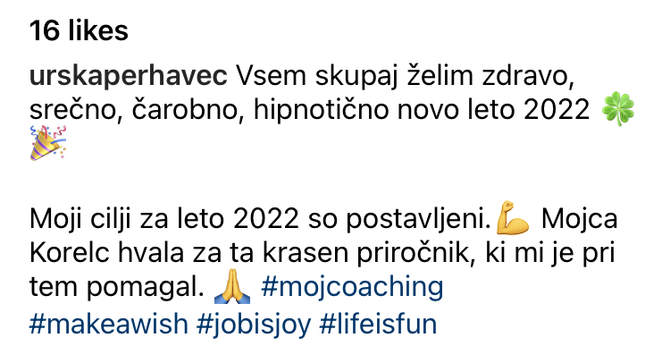 Goal setting vodič – Mojca Korelc